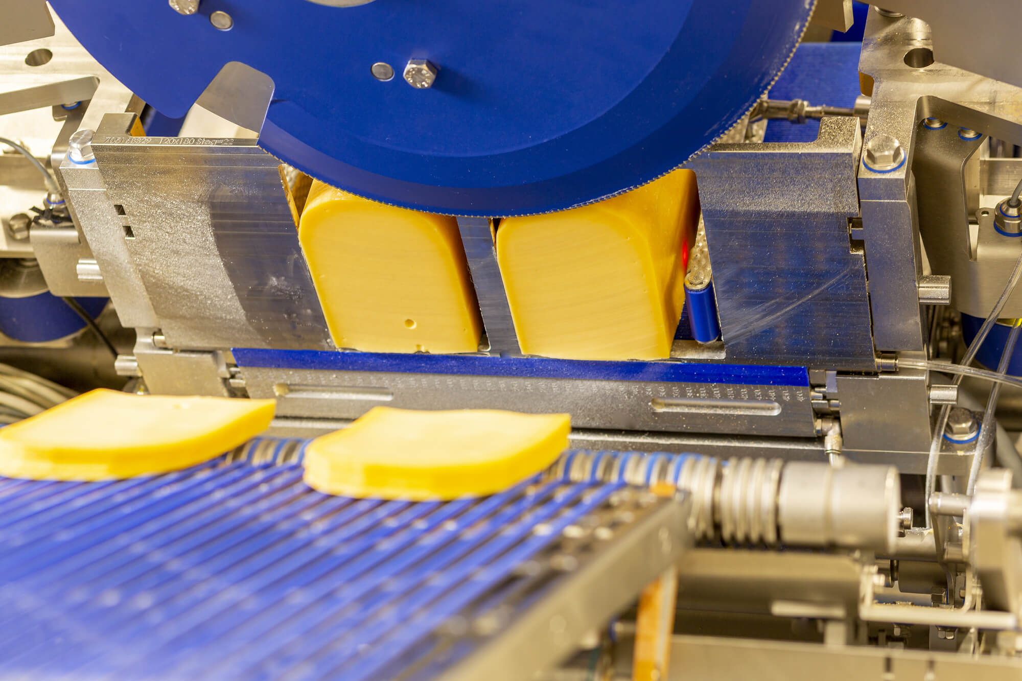 Käse Schneiden - Hazeleger Kaas B.V.